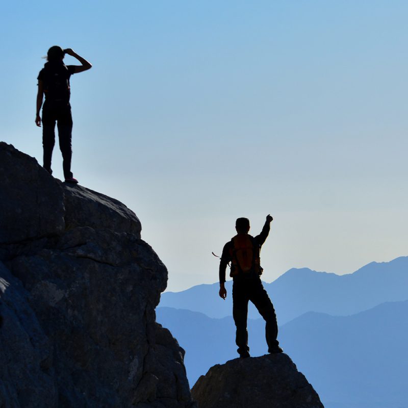 Why Stratex Online was Developed | Our Story